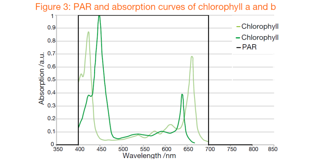 PAR absorption curves for chlorophyll A and B | TUBU