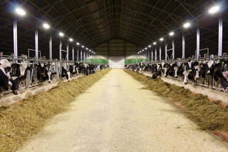 Low-intensity red lighting during the night | TUBU