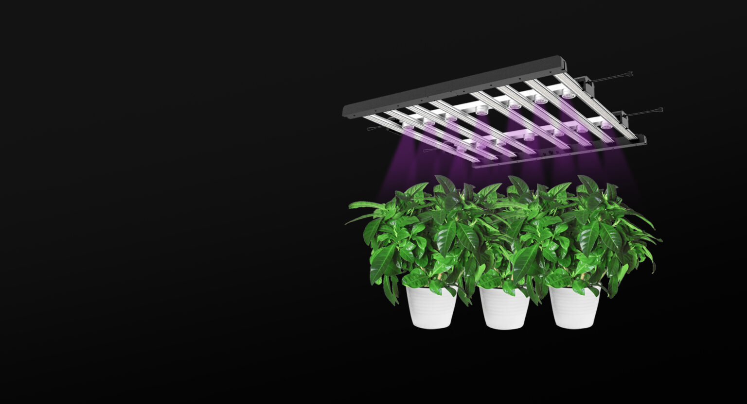 UVIR Grow Light Bar Using UVIR light to optimize plant growth | TUBU