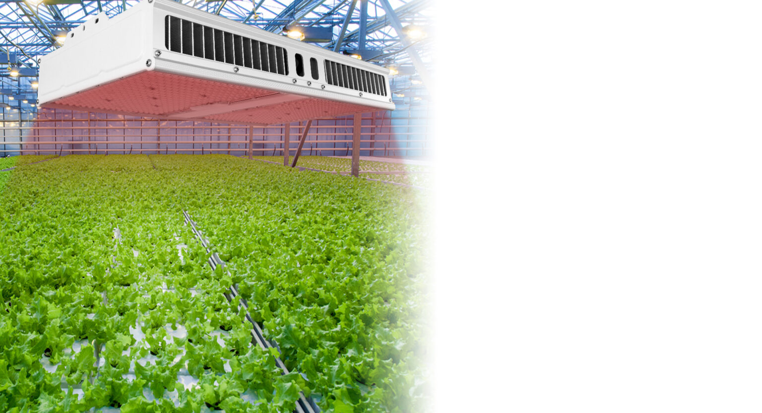 Greenhouse LED grow lights with low radiant heat | TUBU