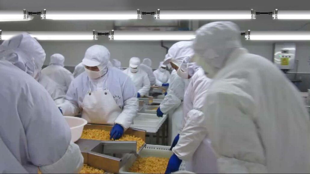TUBU L9 LED Tri-proof Light Applied in Food Factory | TUBU